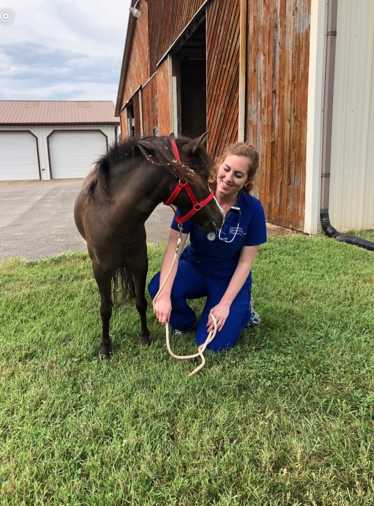 About Us - Snodgrass Veterinary Medical Center