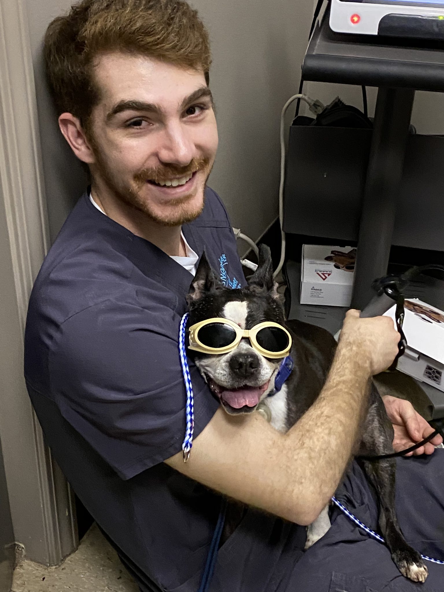 What Is Laser Therapy Snodgrass Veterinary Medical Center what-is-laser-therapy-snodgrass-veterinary-medical-center