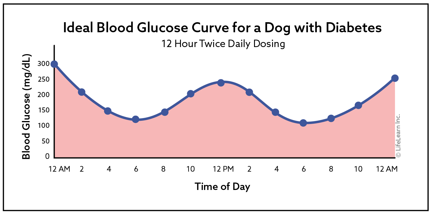 Testing & Monitoring Diabetes In Dog - Snodgrass Veterinary Medical Center